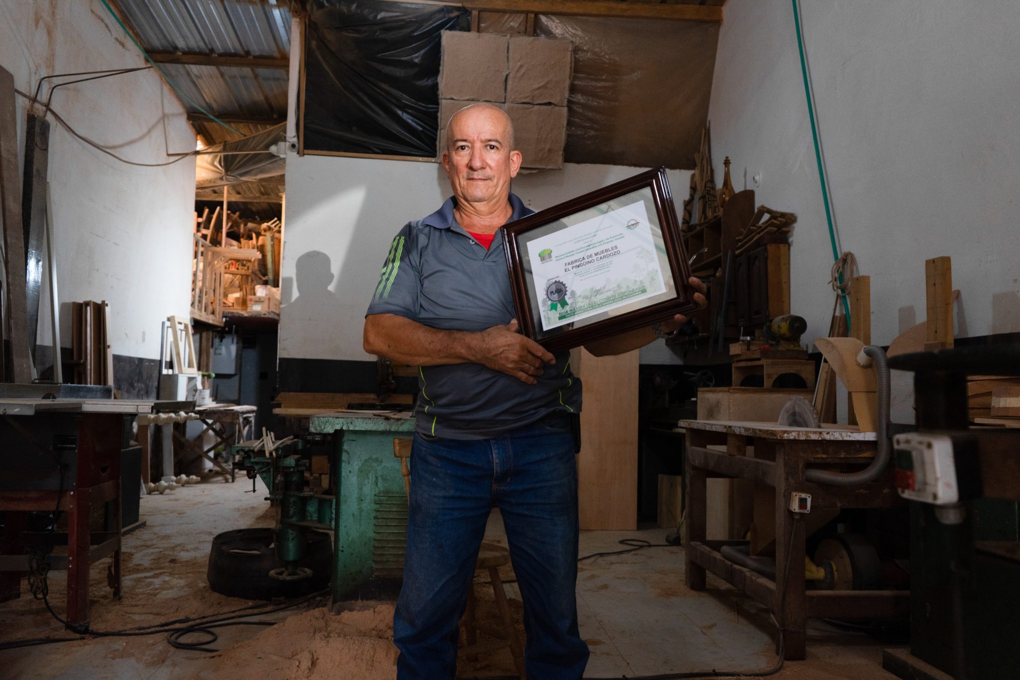 ProBosques II – ProBosques