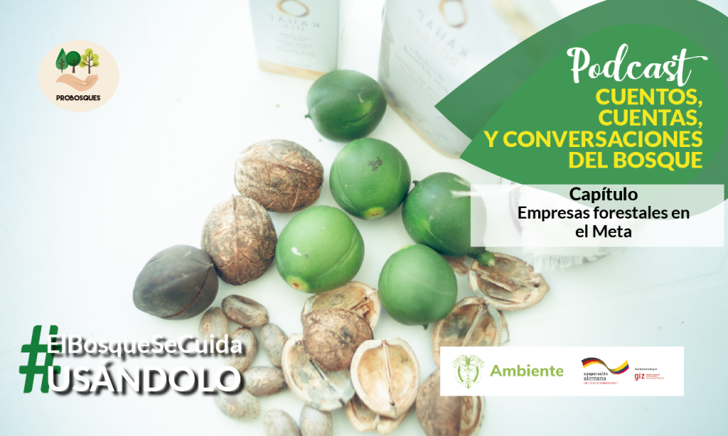 Podcast – ProBosques